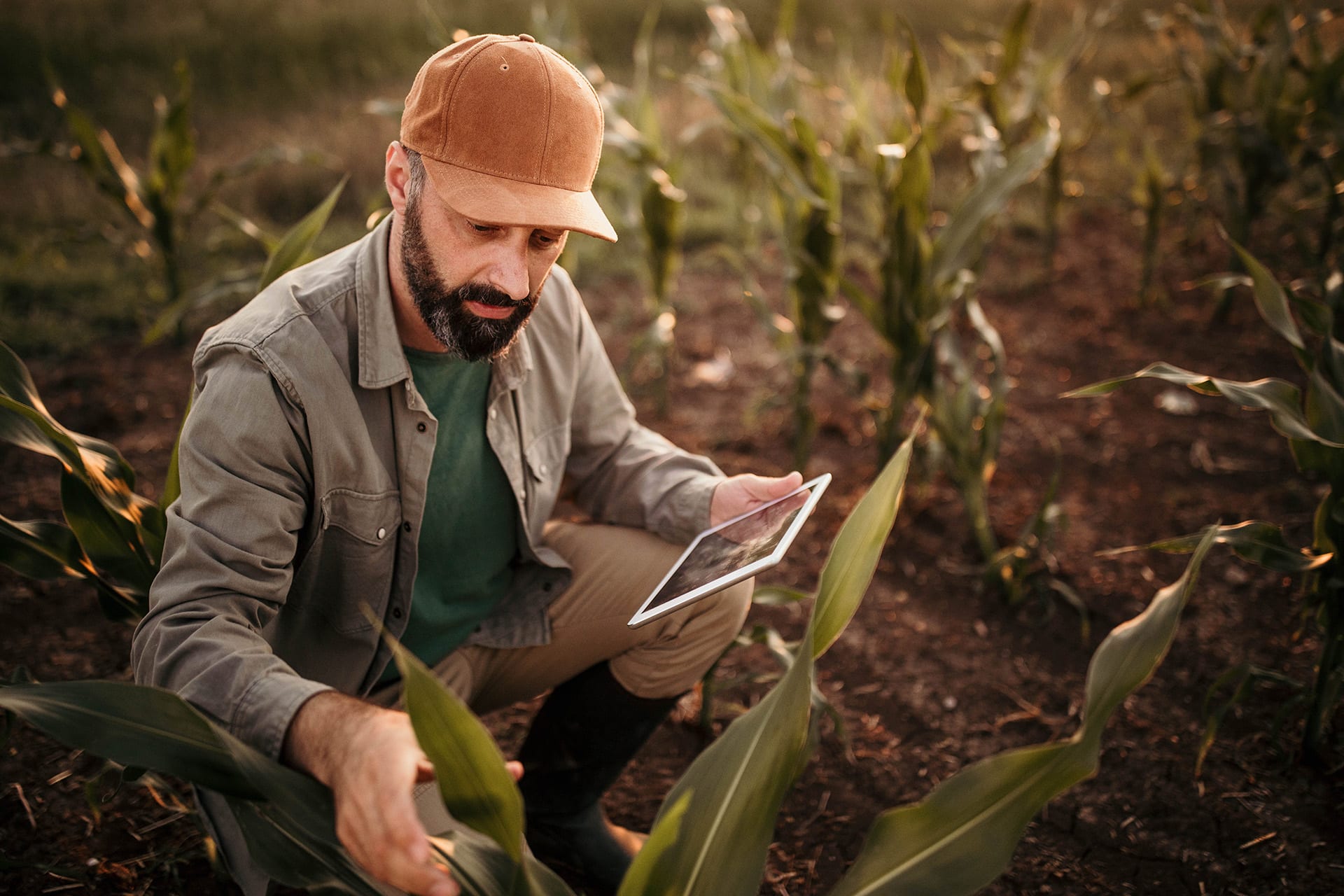 Plant Nutrition Canada - Science-based Sustainable Management
